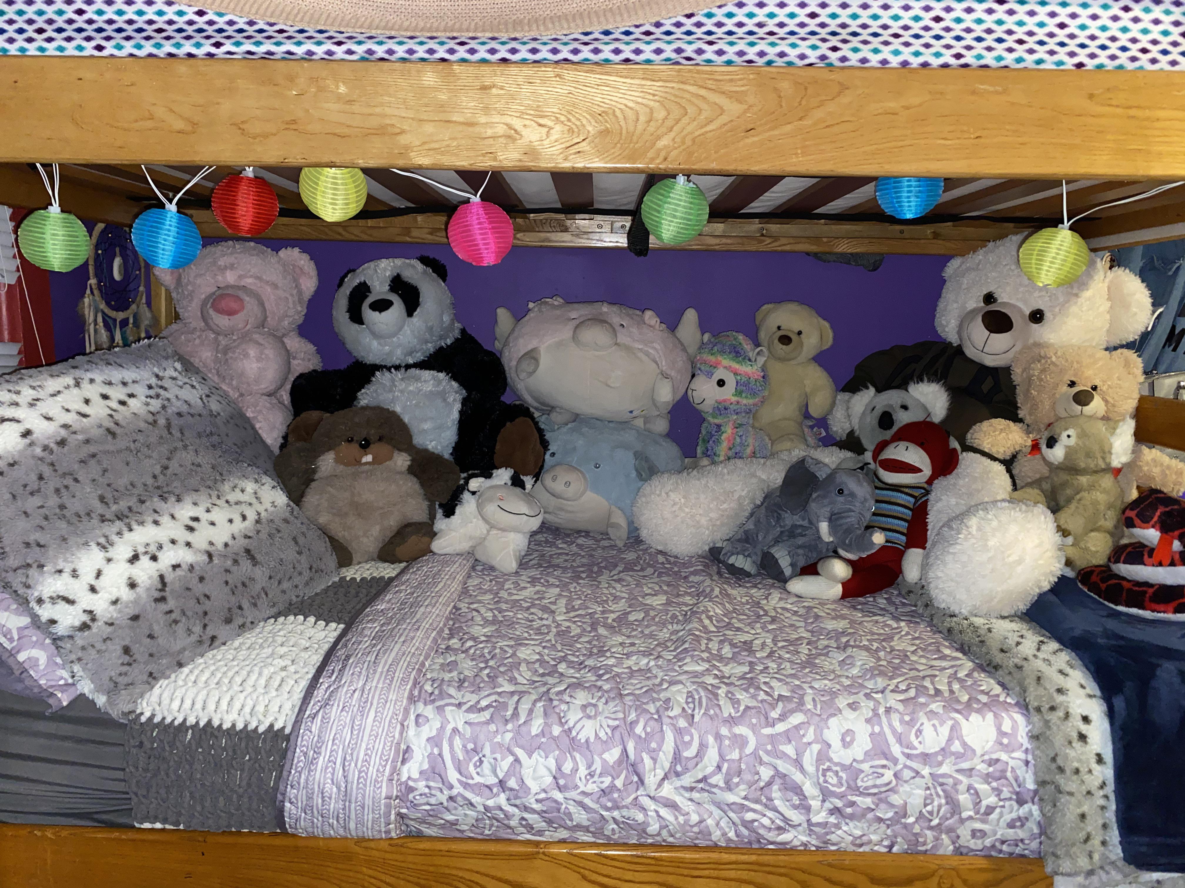 Stuffie family picture🥰🧸 | Scrolller