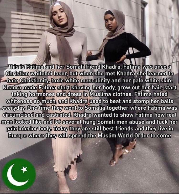 Submission | Scrolller