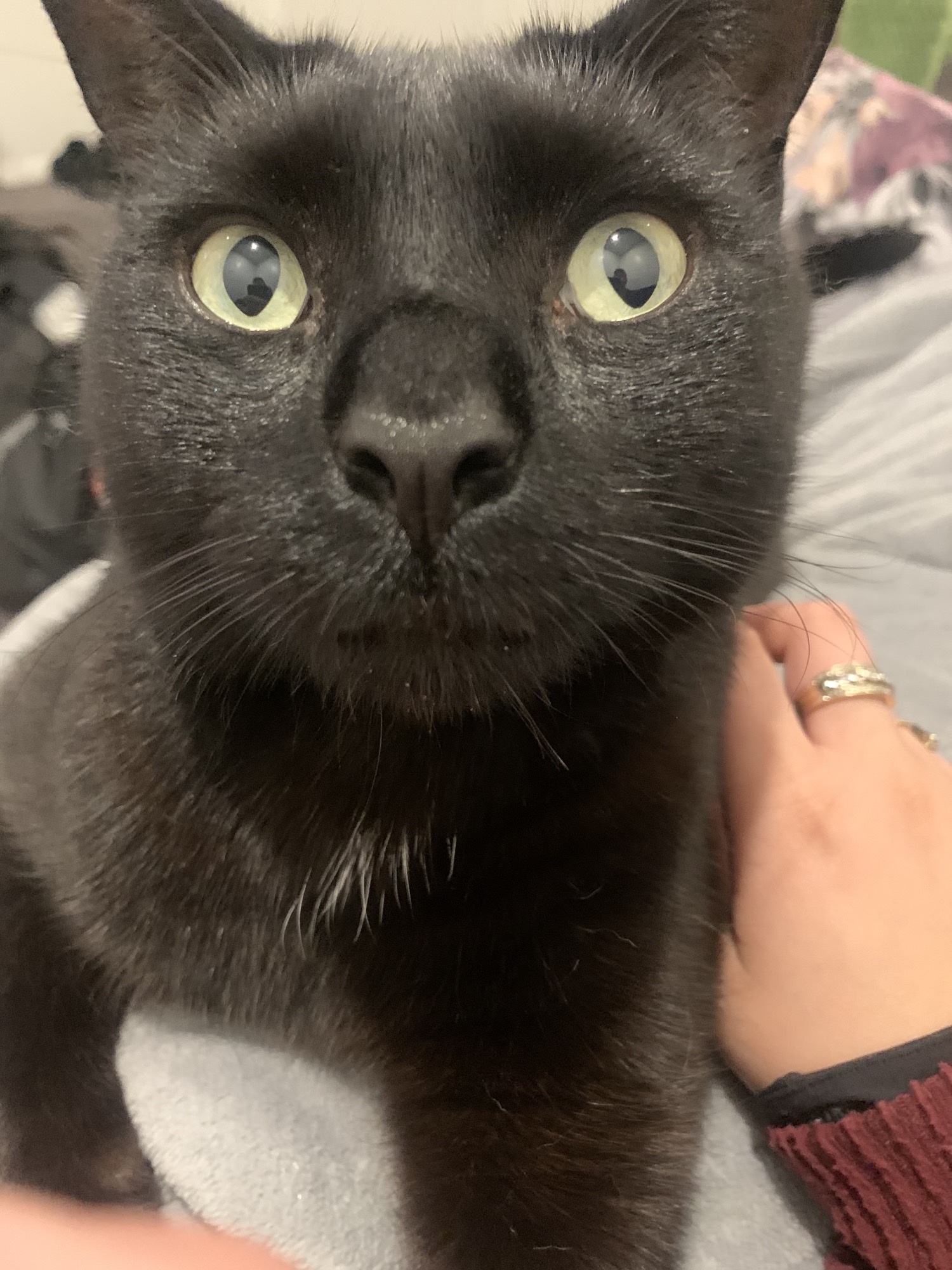 Such a good boy | Scrolller