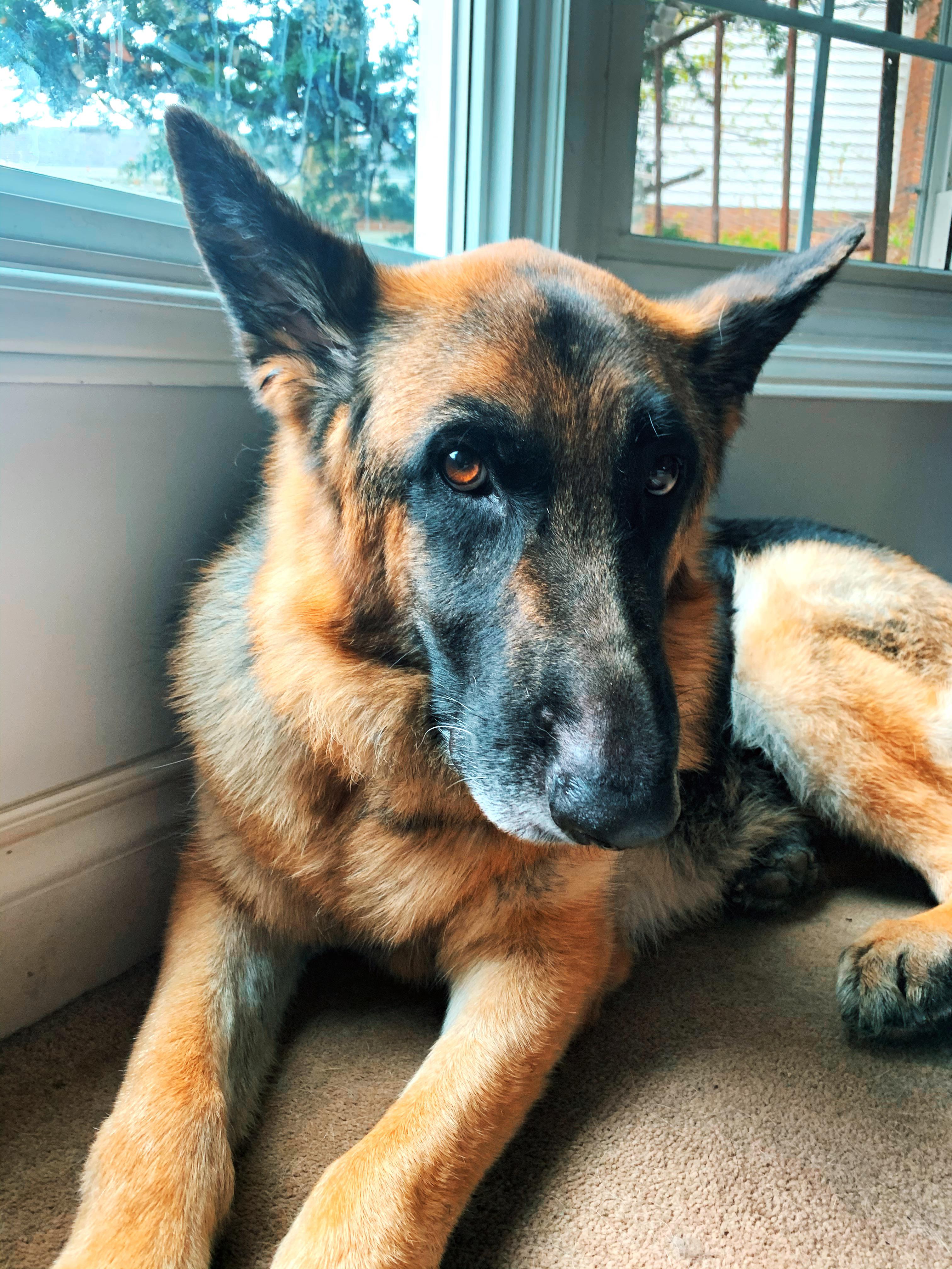 Such a handsome lad | Scrolller