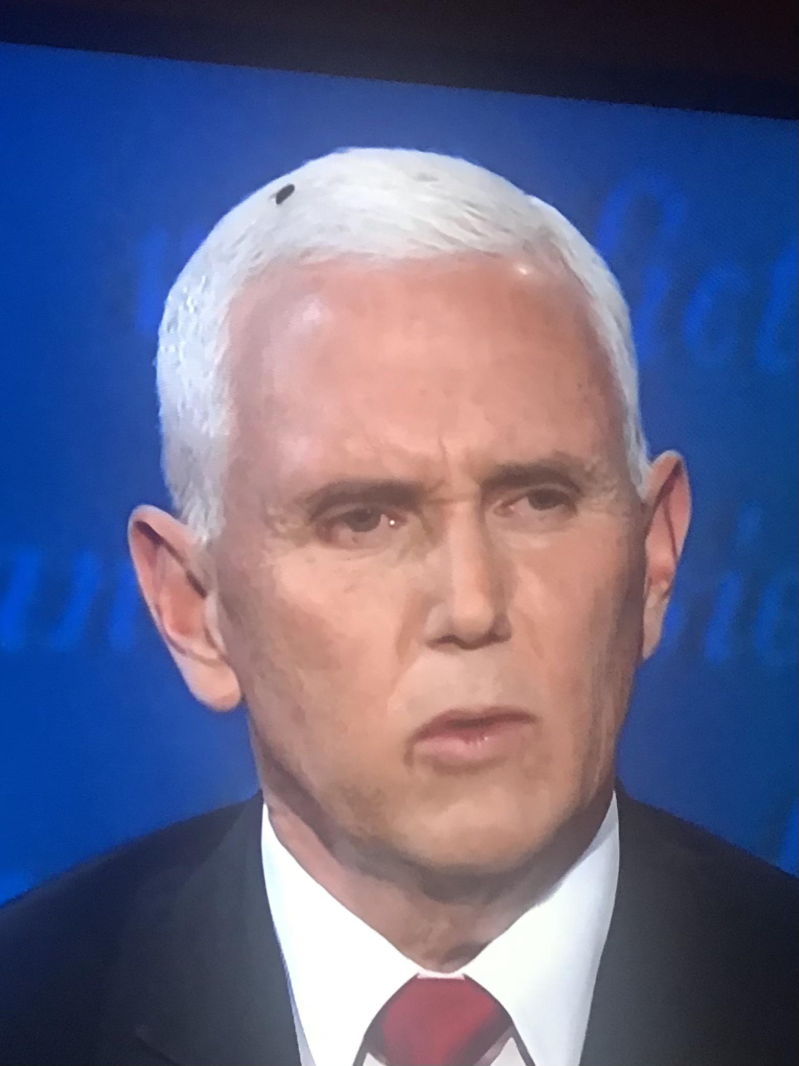 Such a POS he attracts flies | Scrolller