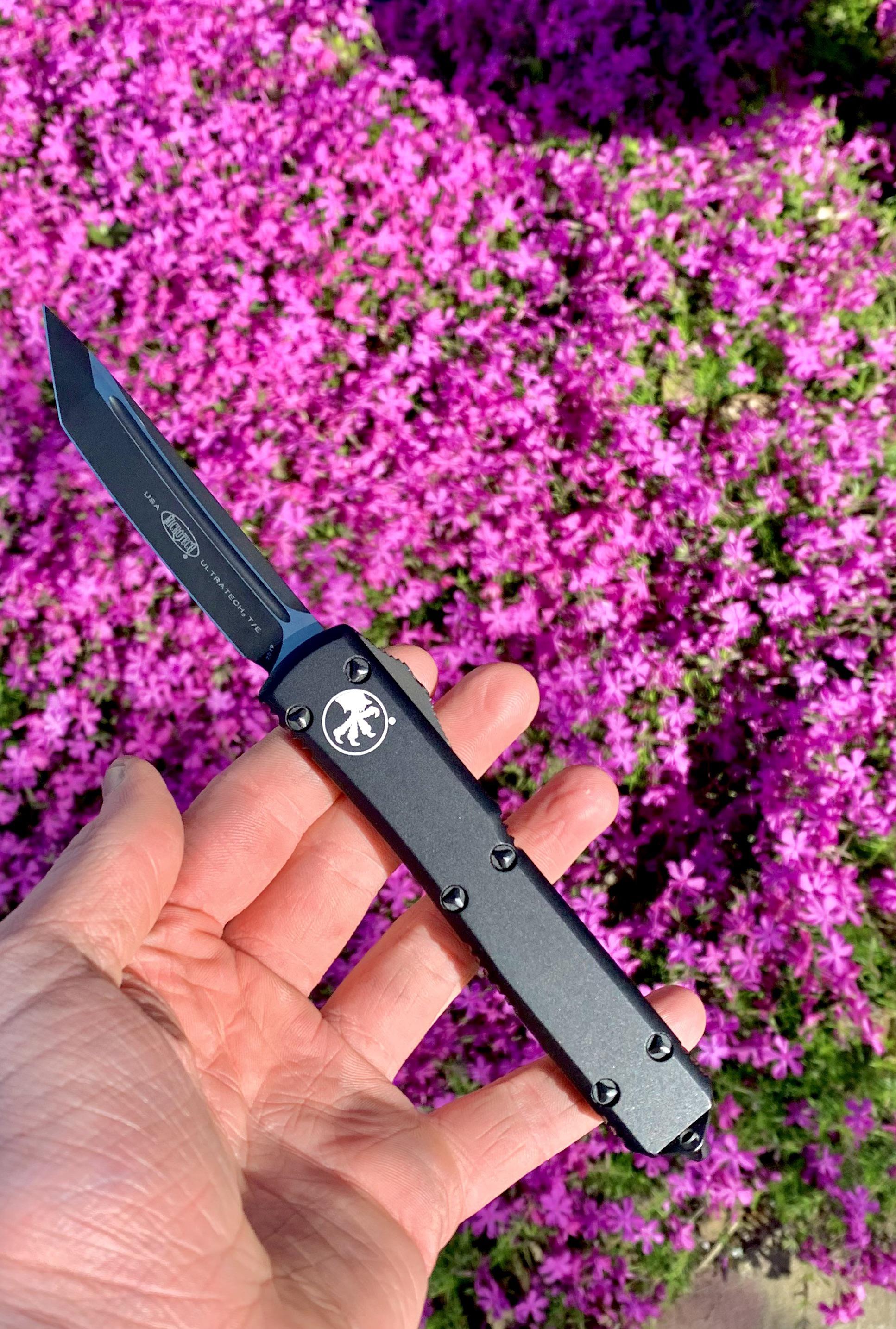 Summer Carry | Scrolller