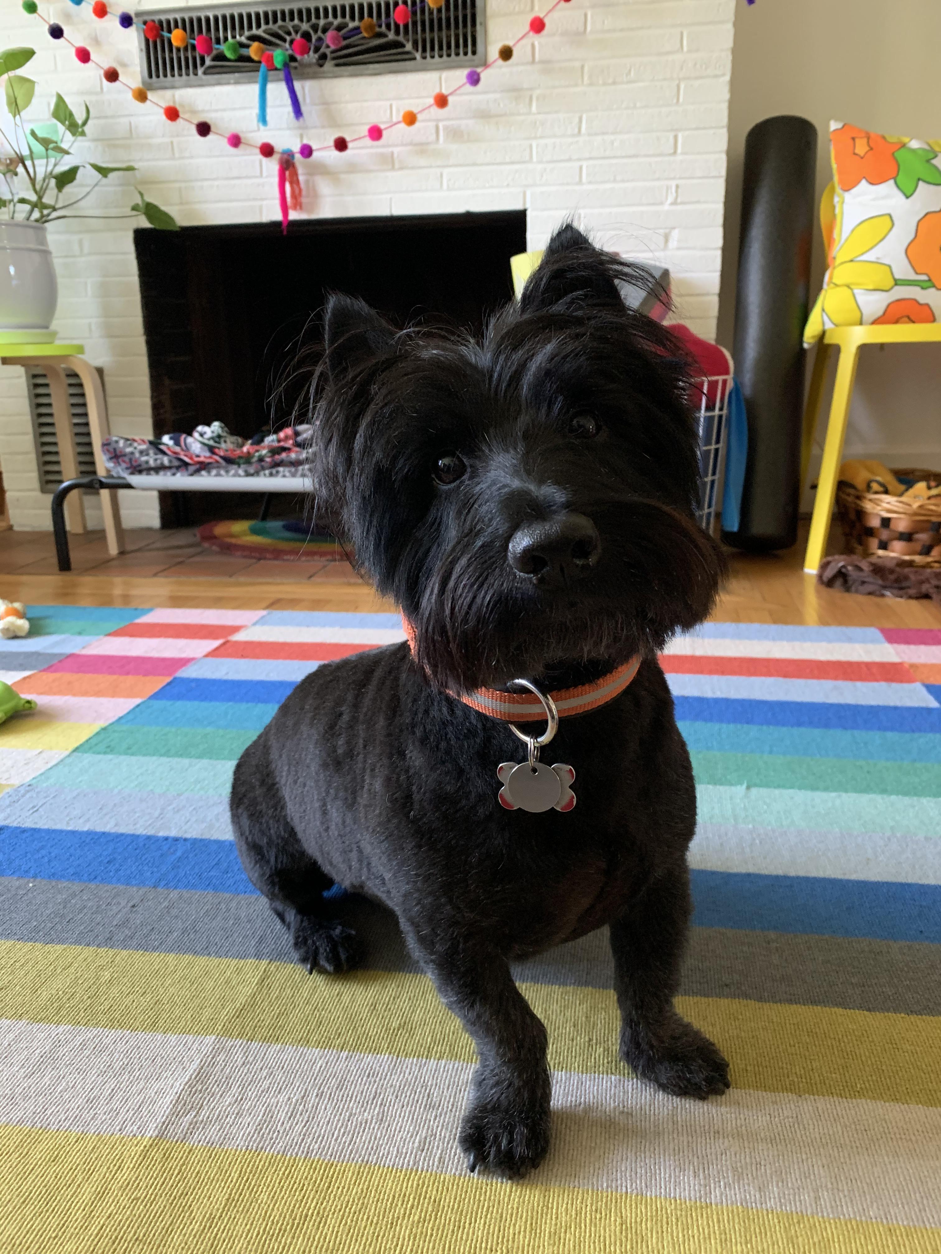 Summer cut!! | Scrolller