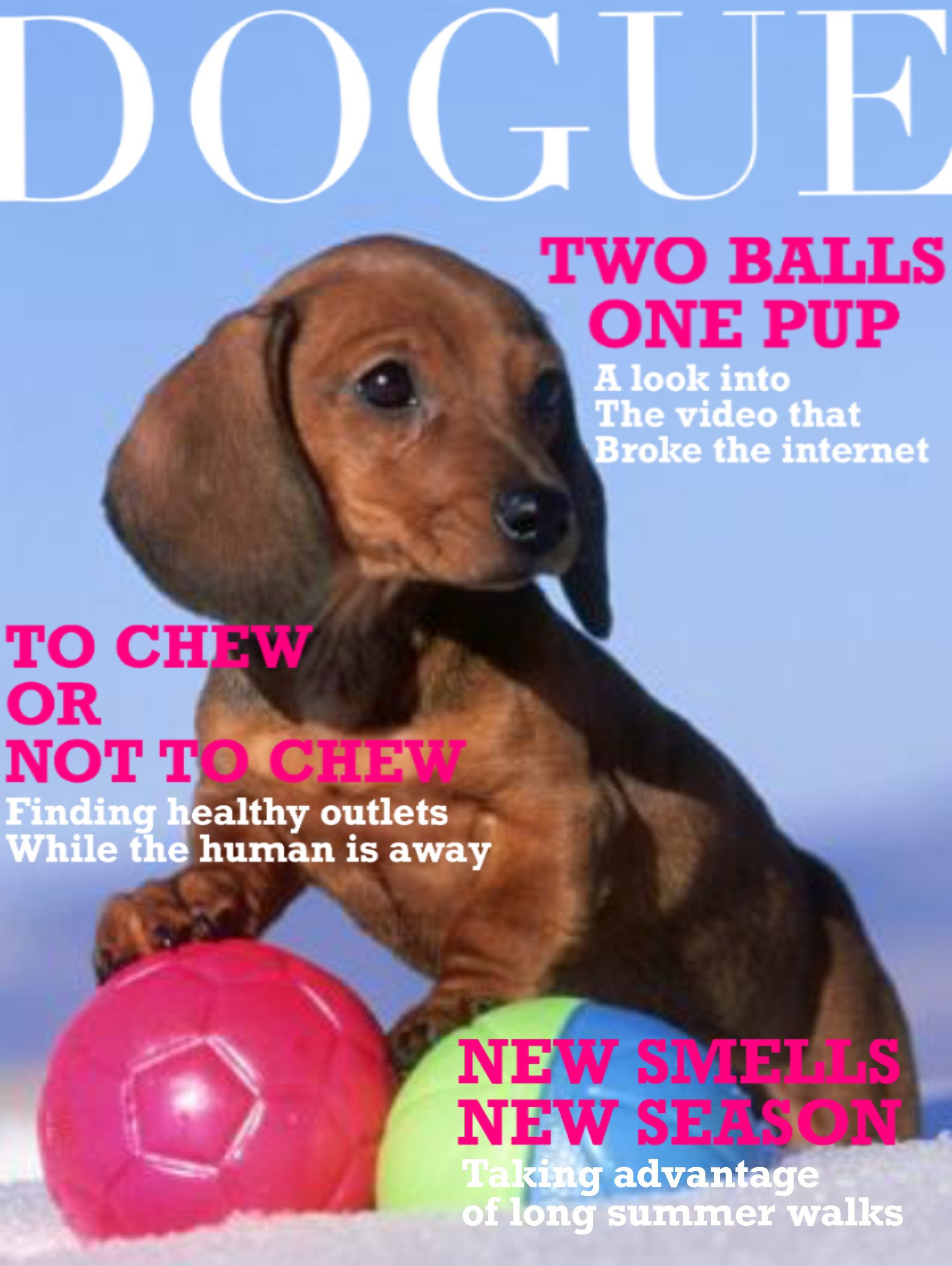 Summer Issue | Scrolller