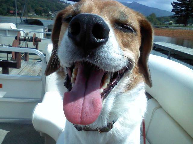 Summer Sun And A Boat Ride Made Her Grin Scrolller