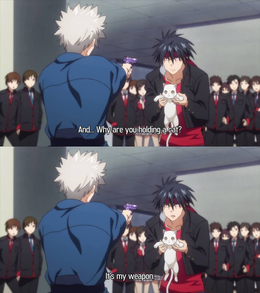 Summoners in a nutshell | Scrolller