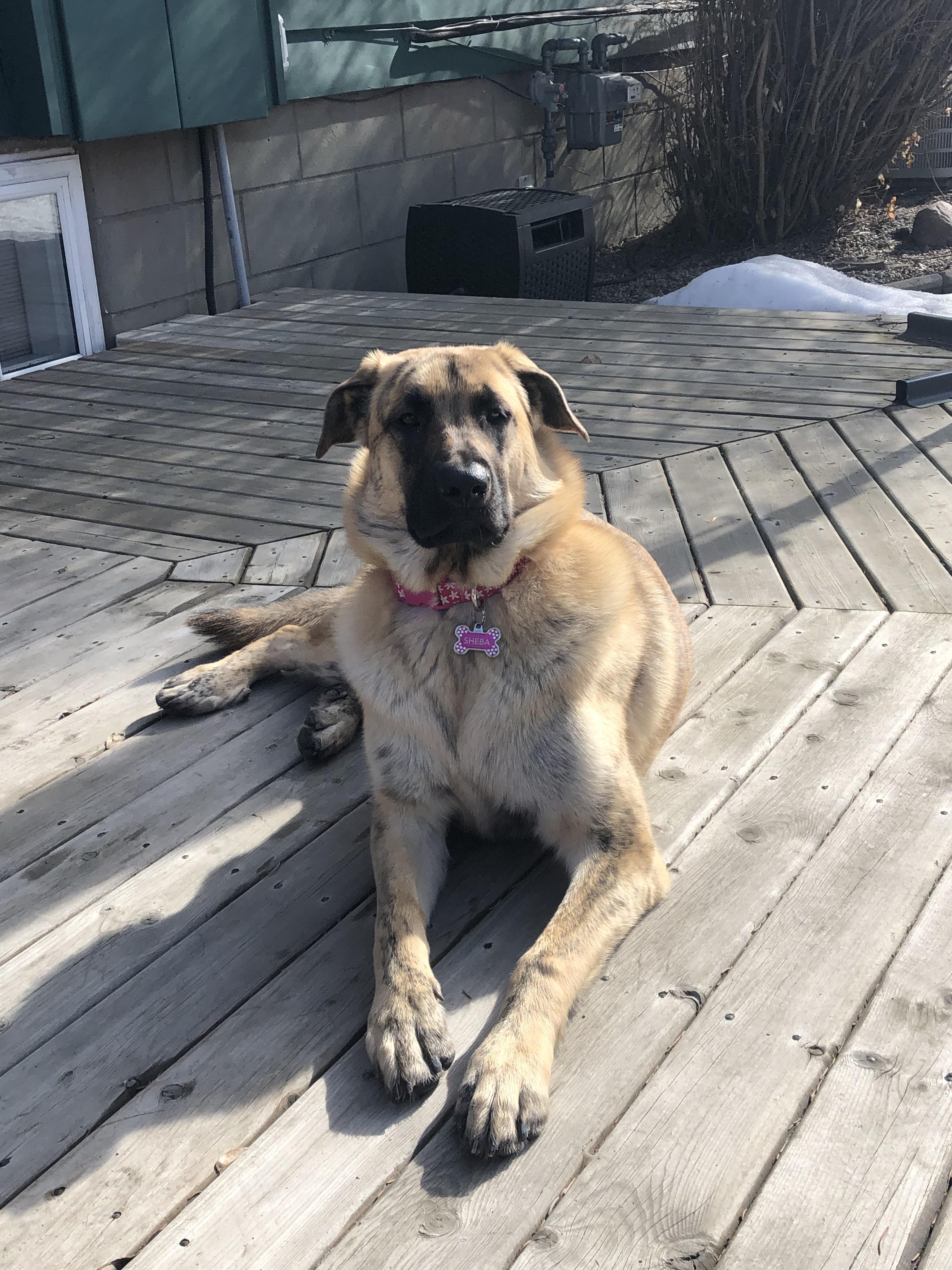 Sunbathing | Scrolller