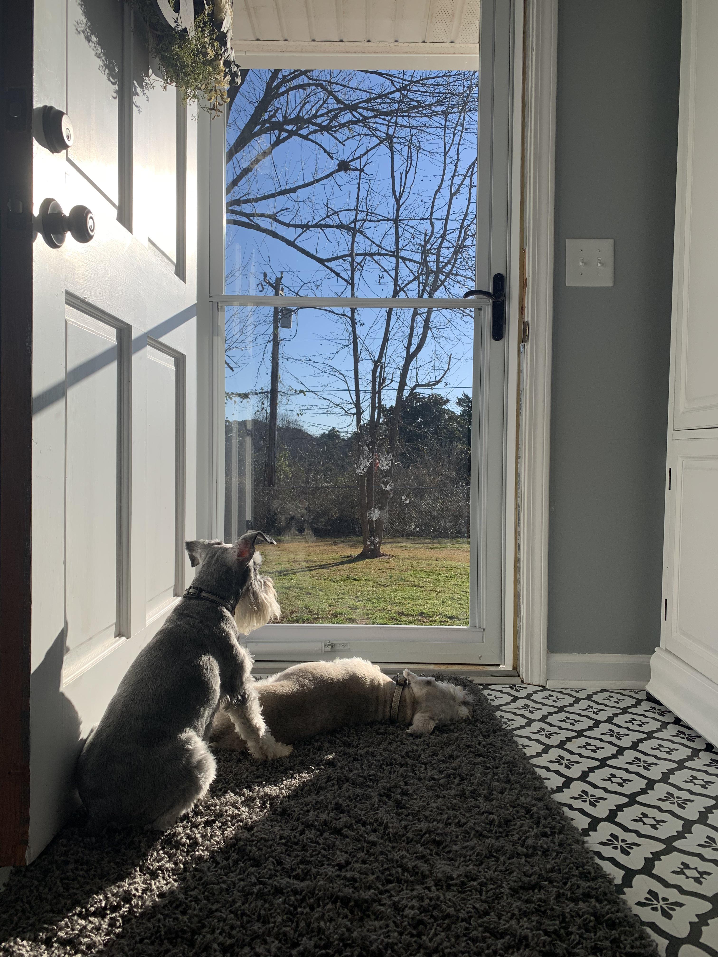 Sunbathing and squirrel watching. | Scrolller