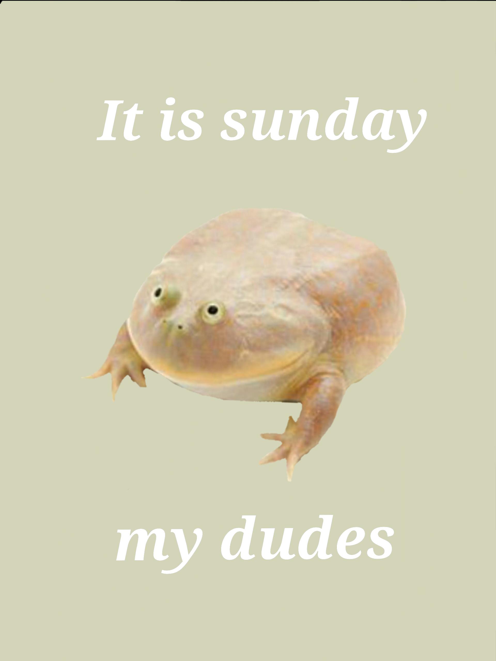 Sunday gang | Scrolller