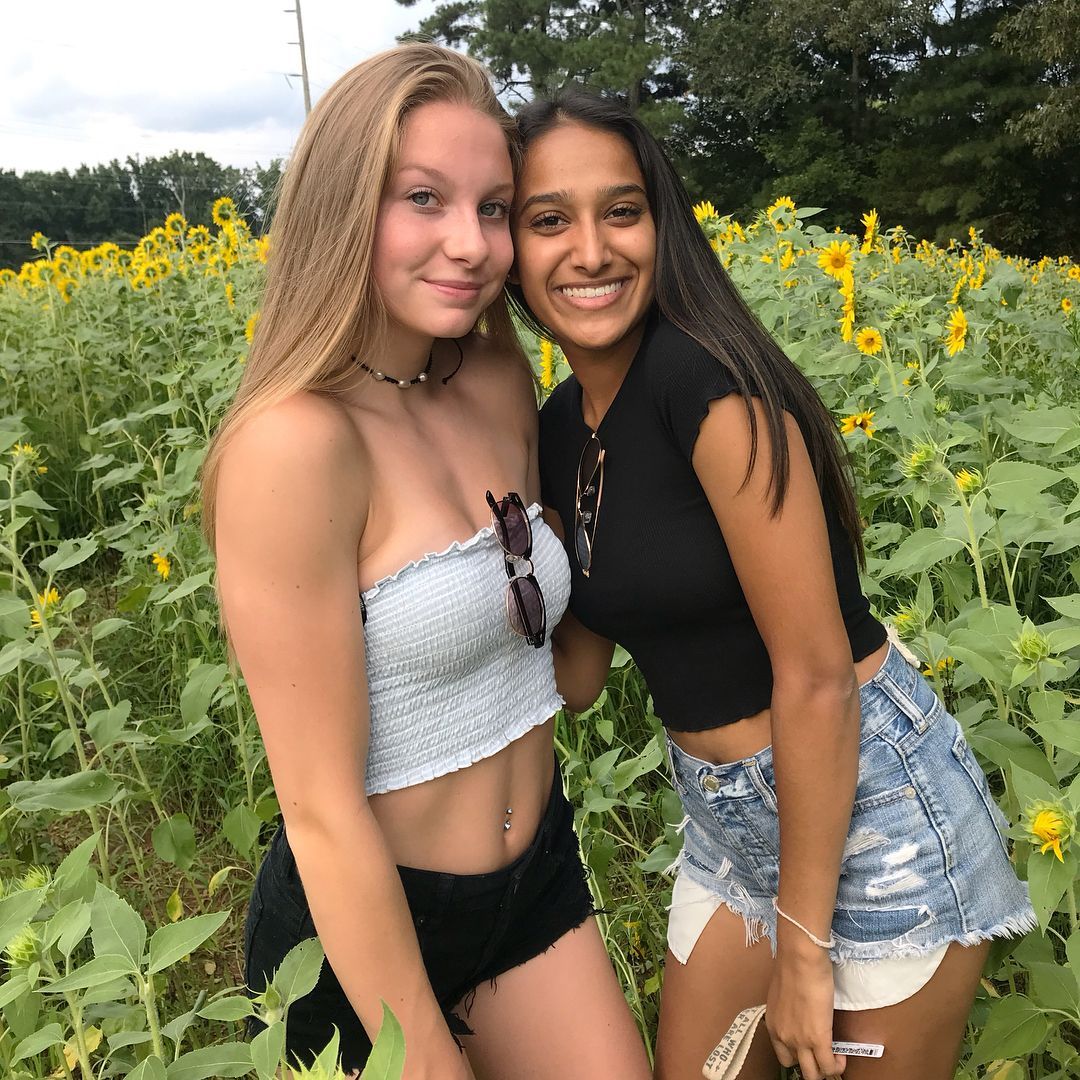 Sunflower stunners | Scrolller