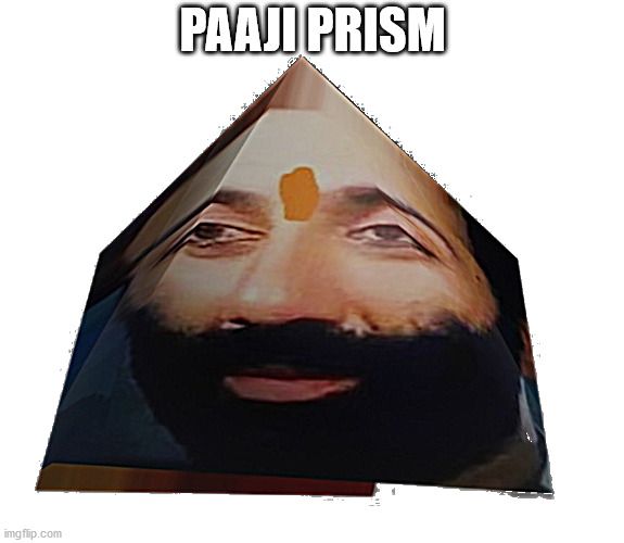 SUNNY PAAJI PRISM | Scrolller