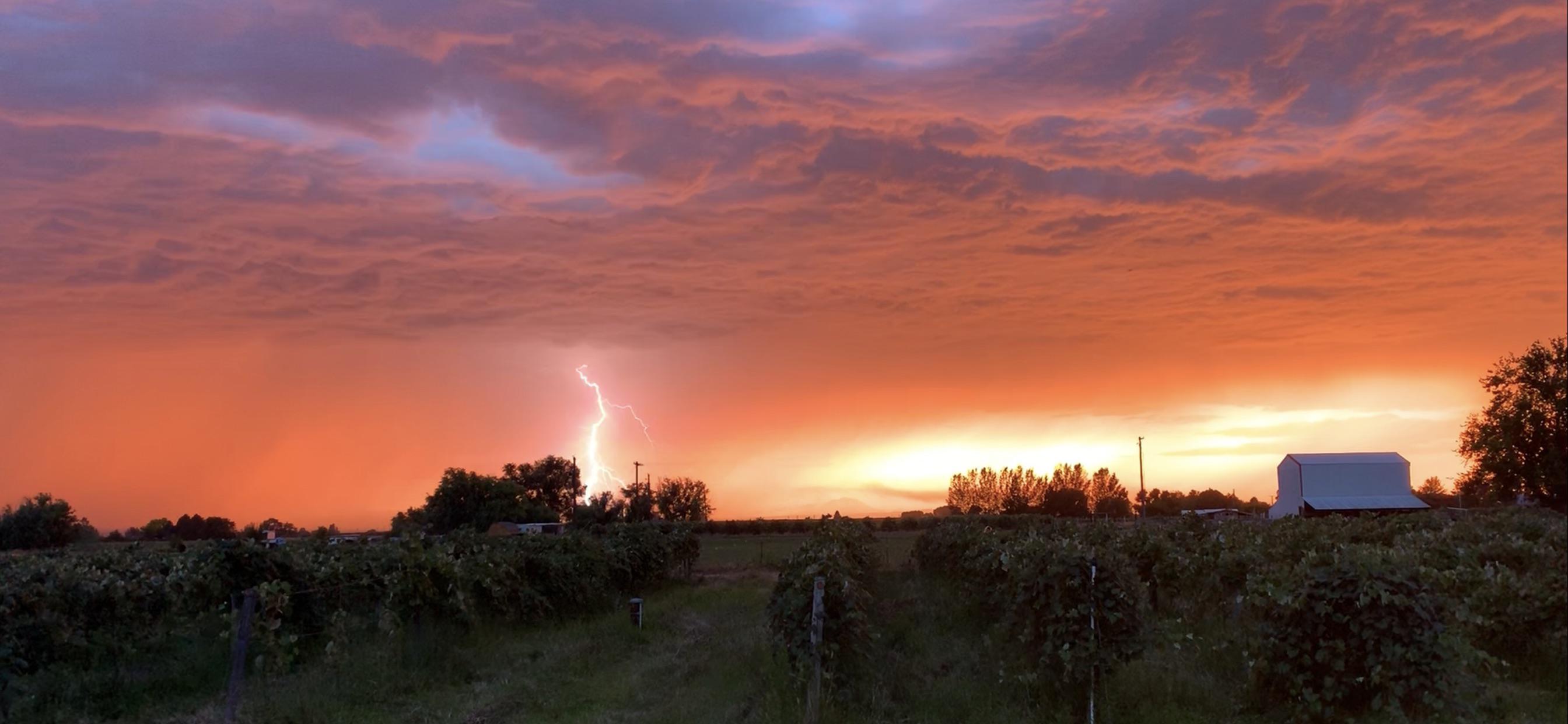 Sunset lighting in Eastern Washington | Scrolller
