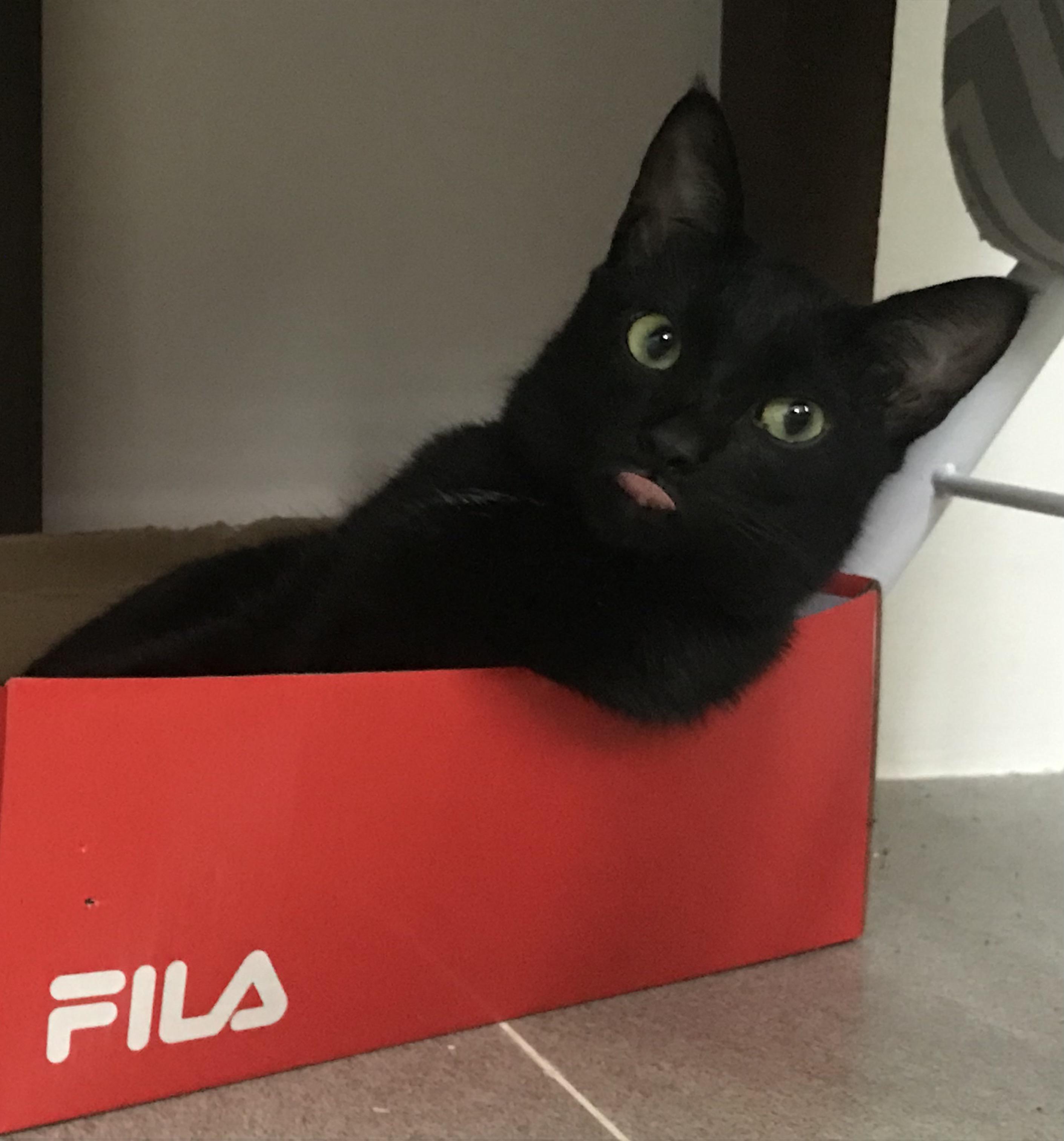 Sup ladies | Scrolller