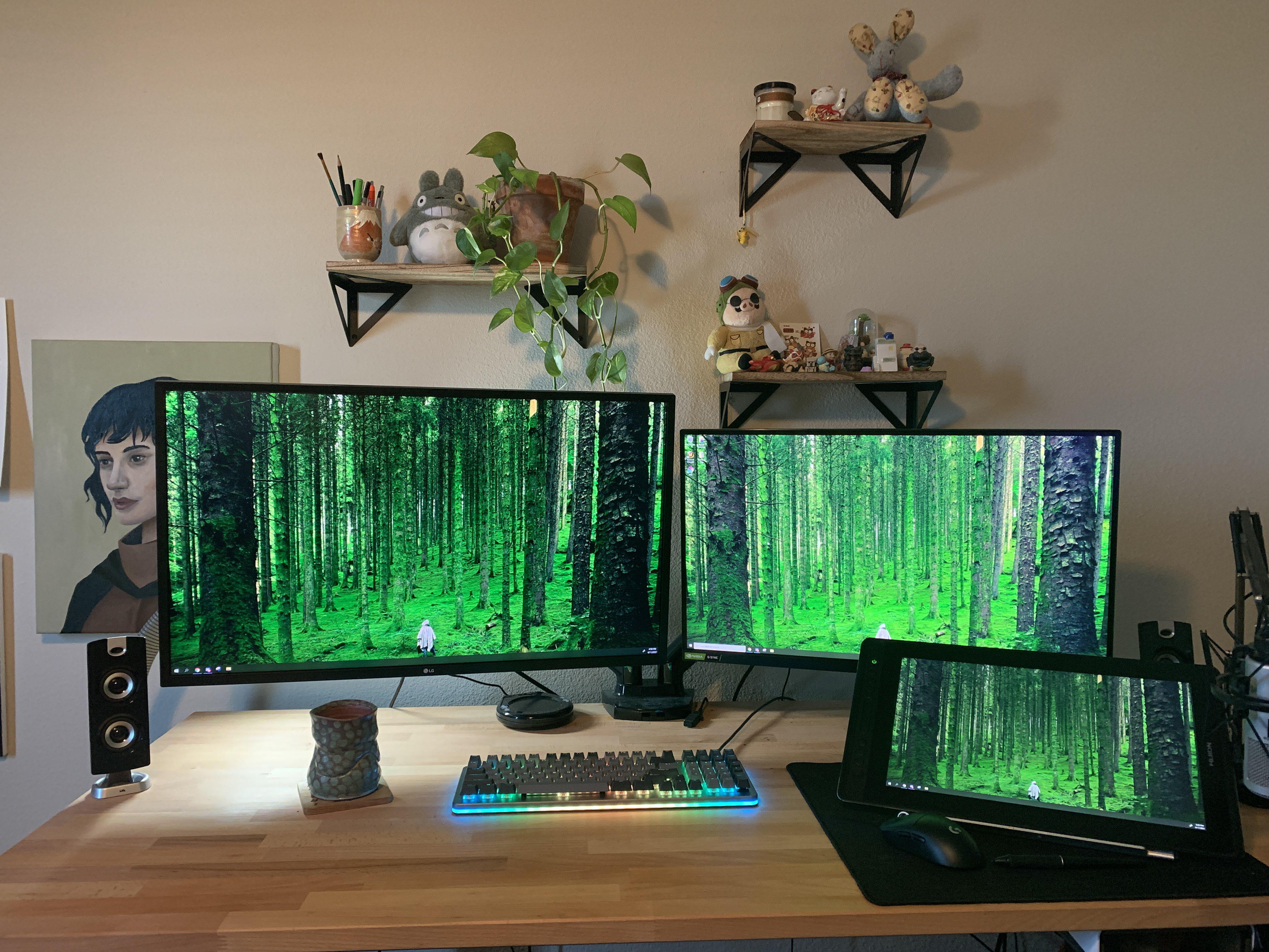 Super pleased with where my setup has landed recently! Clean, green, and big! | Scrolller