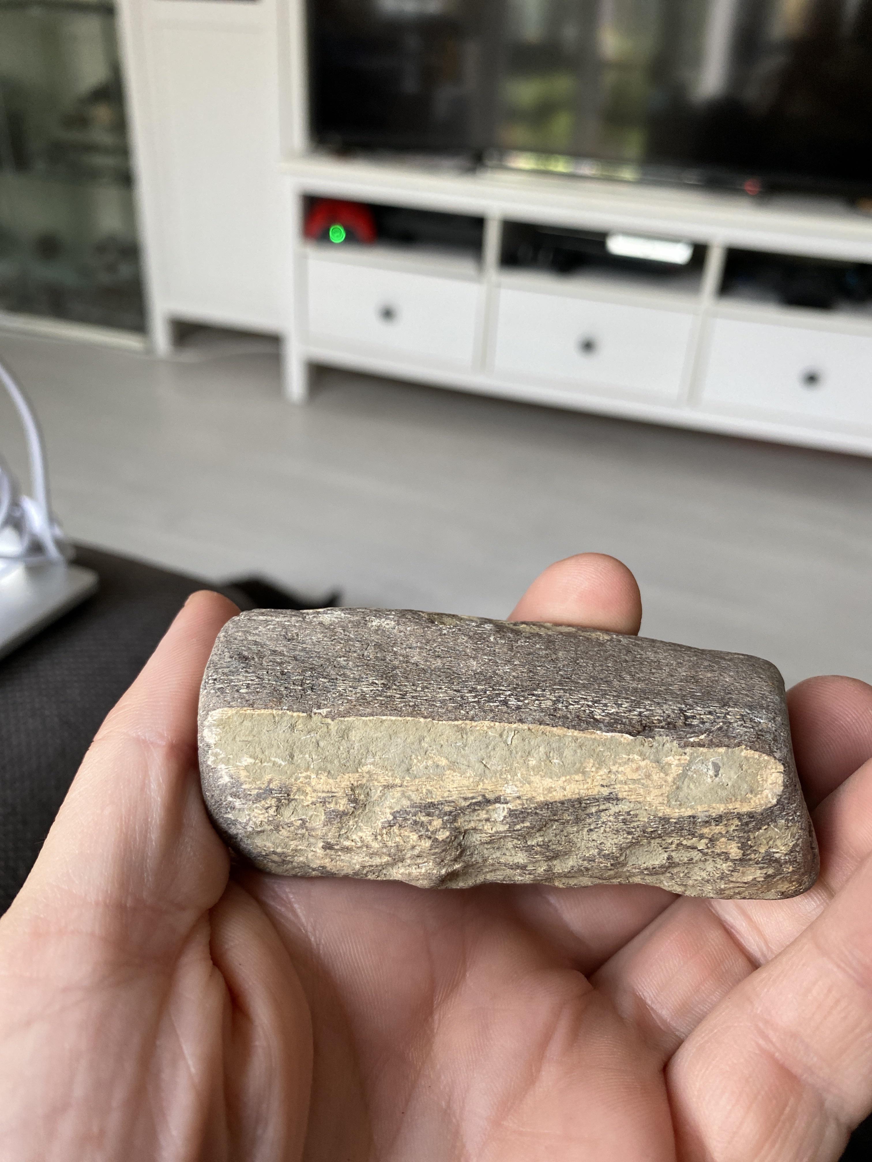 Super rare find in Folkestone UK on Friday. A large jawbone fragment from a Cretaceous ...