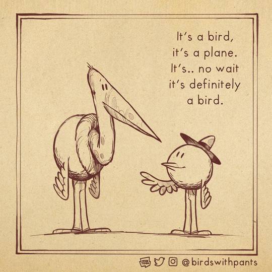 Superbird [OC] | Scrolller