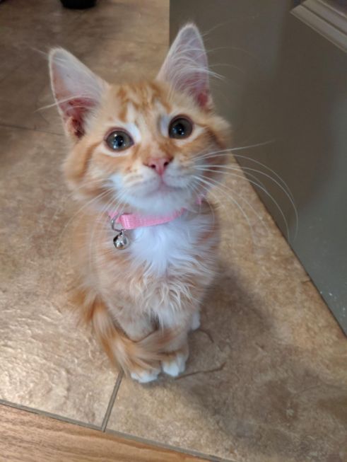 Supermodel in training | Scrolller