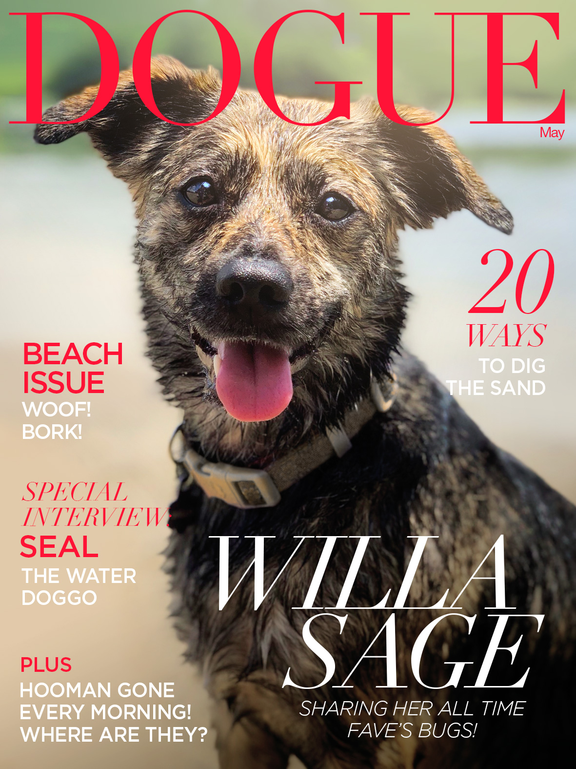 Sweet Girl, WILLA SAGE making a debut! | Scrolller