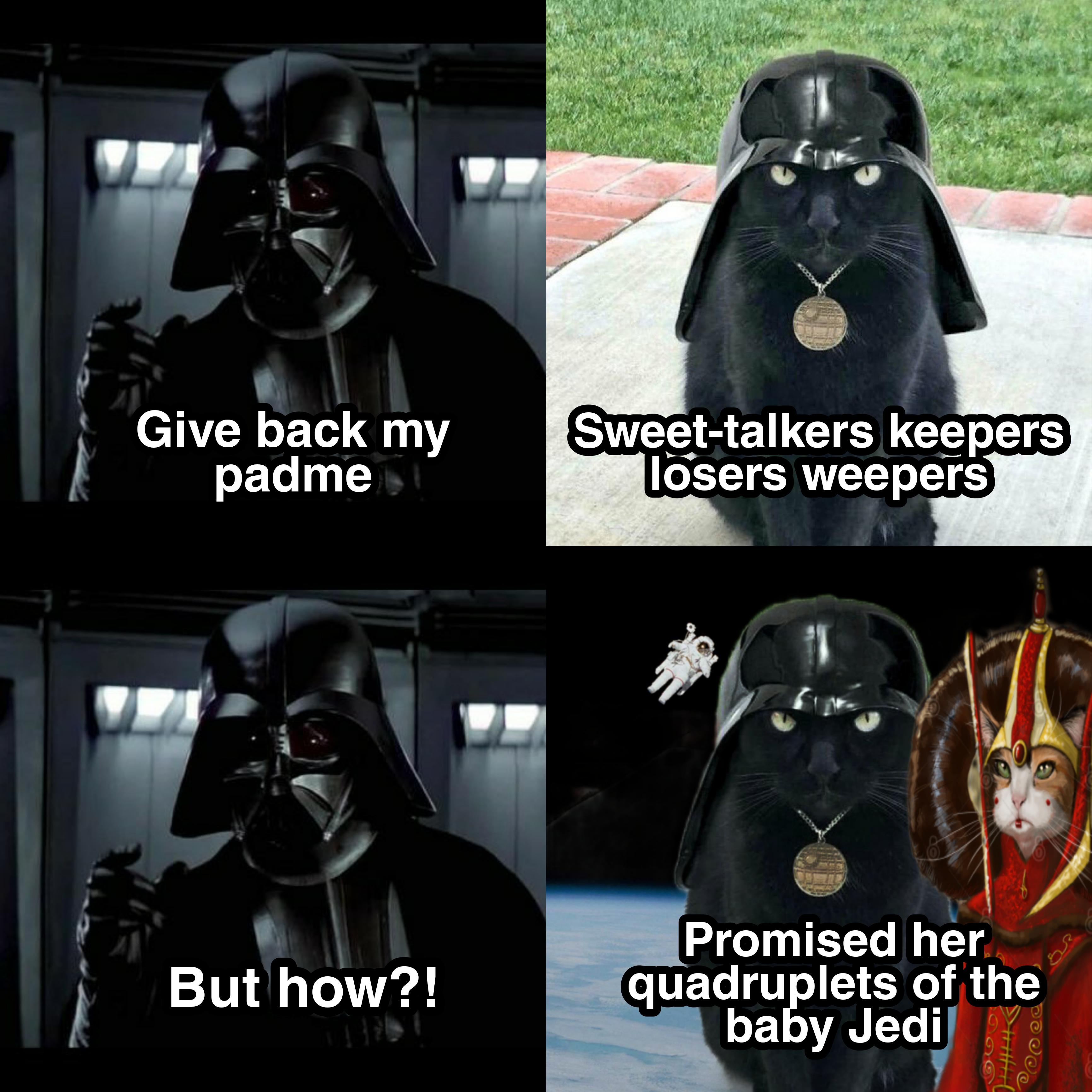 Sweet-talker Darth Vader cat | Scrolller