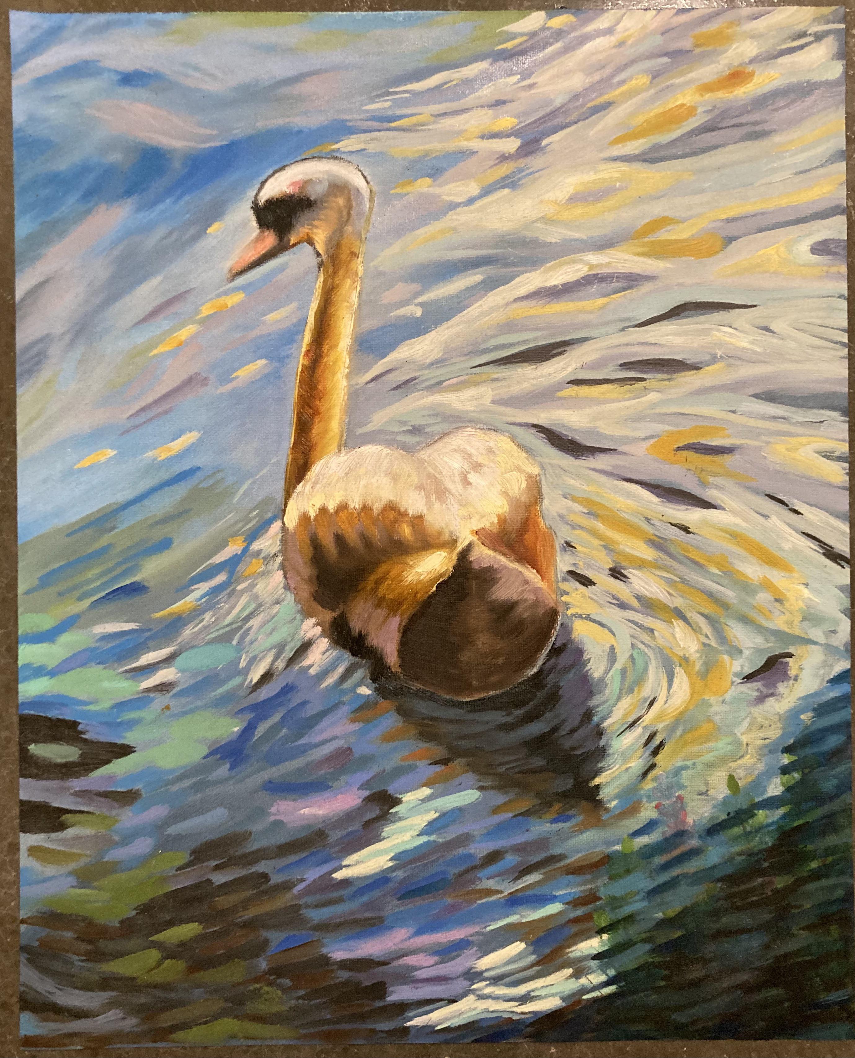Swimming swan | Scrolller