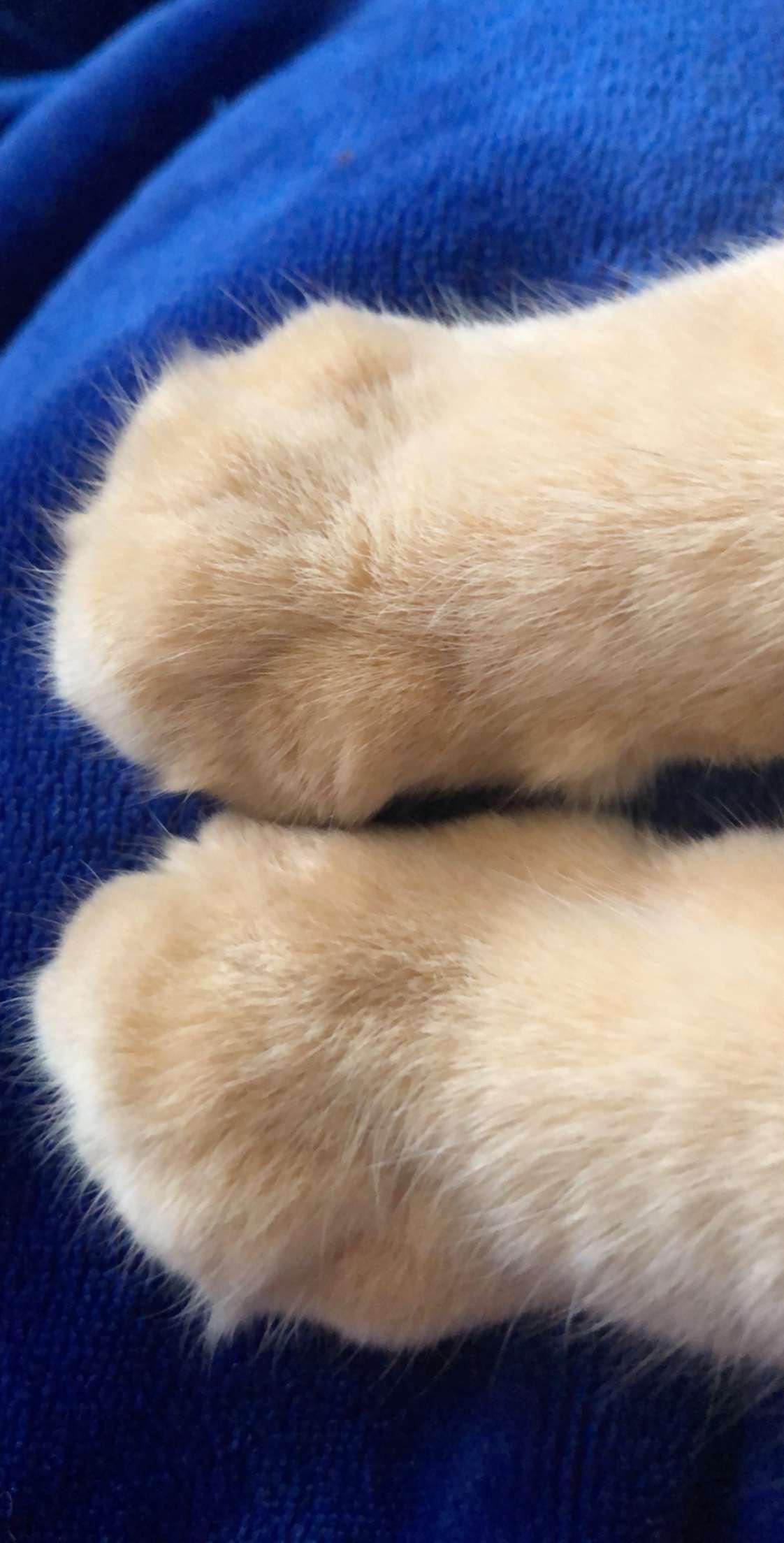 symmetrical | Scrolller