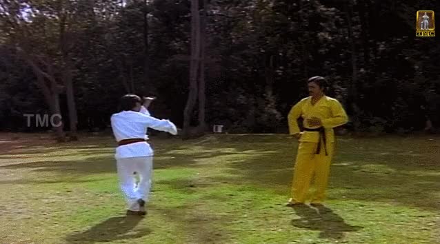 Synchronized Karate | Scrolller