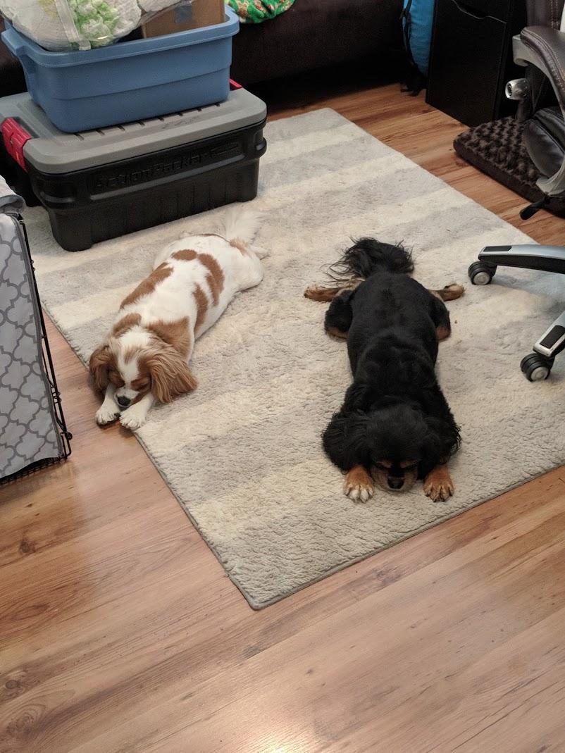 Synchronized Sleeping | Scrolller