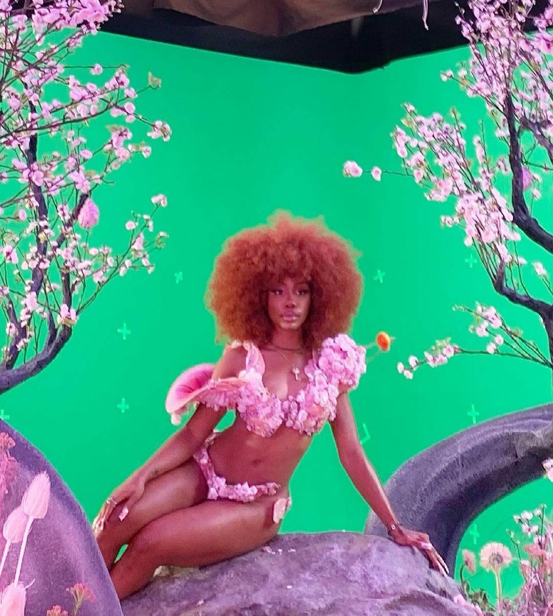 SZA in pink flowers | Scrolller