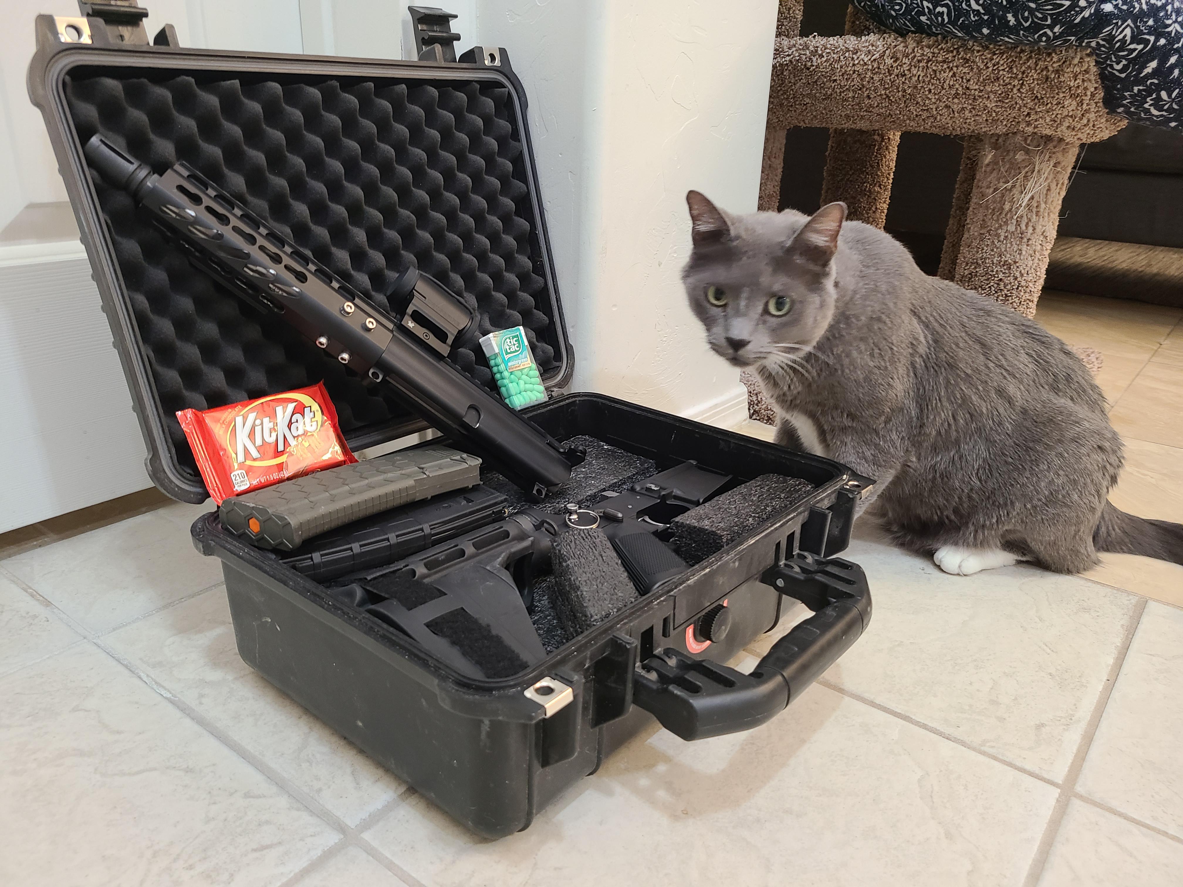 Tactical Kit Gat Kit Kat Tic Tac Cat | Scrolller