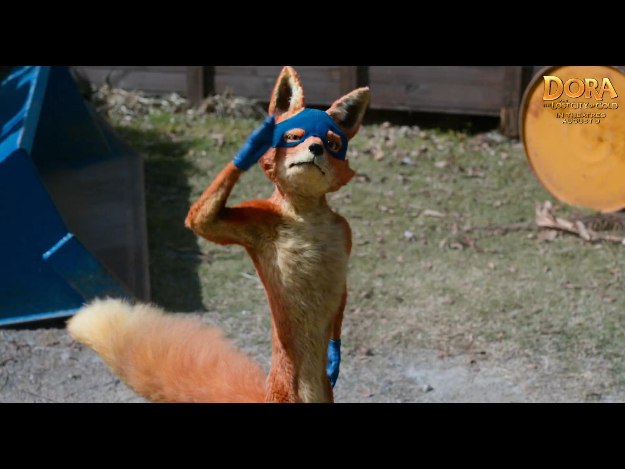 Tails without food, day 11 | Scrolller