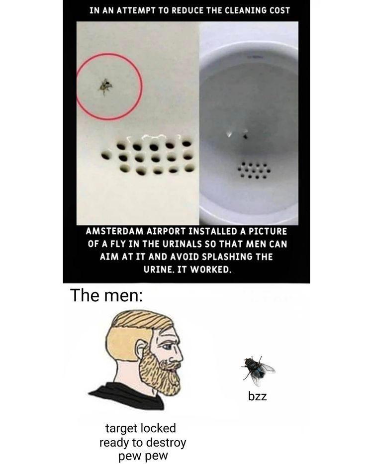 Take aim | Scrolller