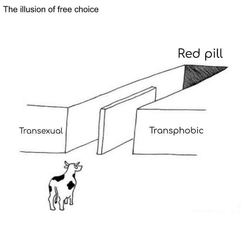 Take the red pill | Scrolller