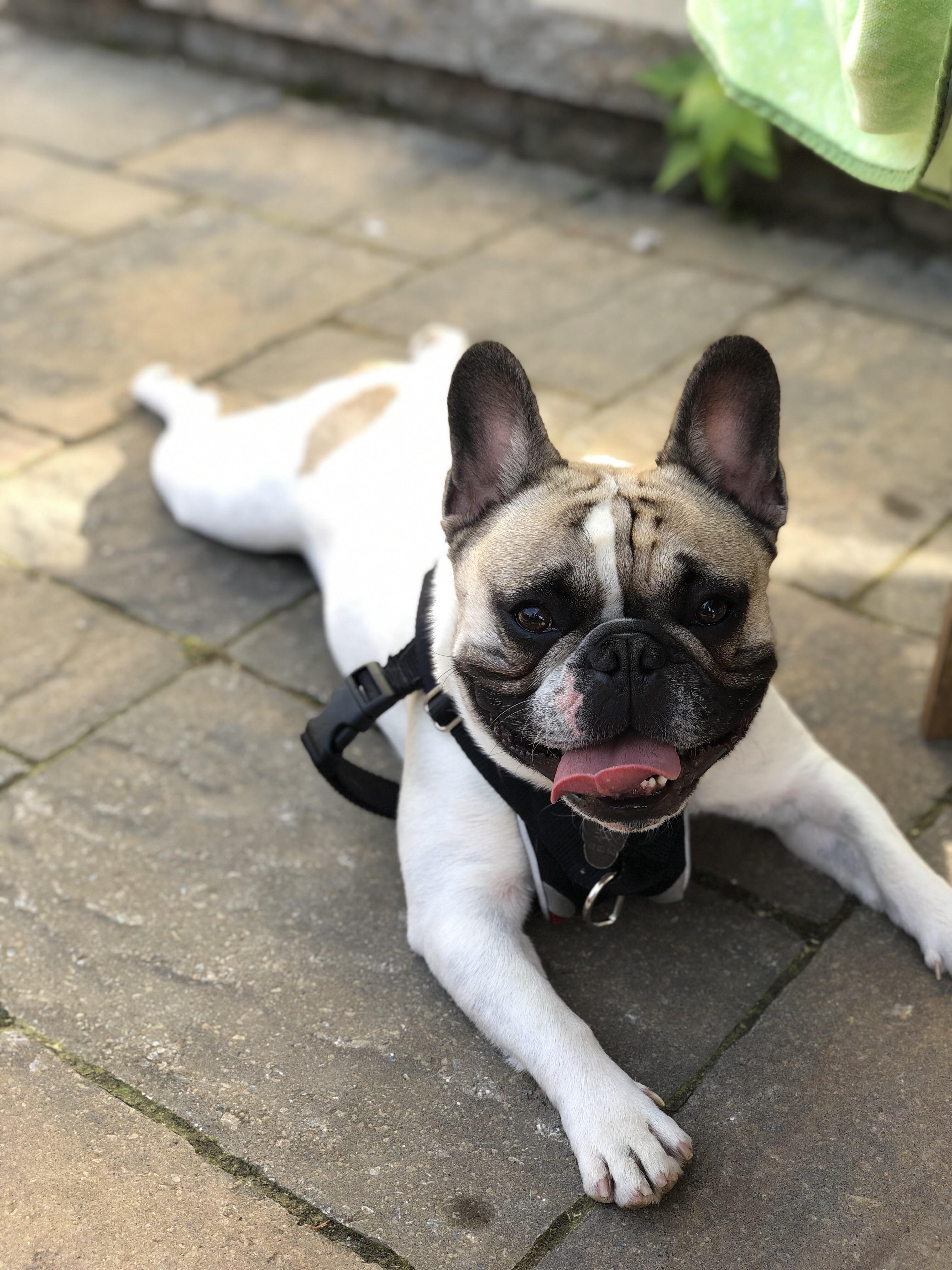 Taking a break from the sun. | Scrolller