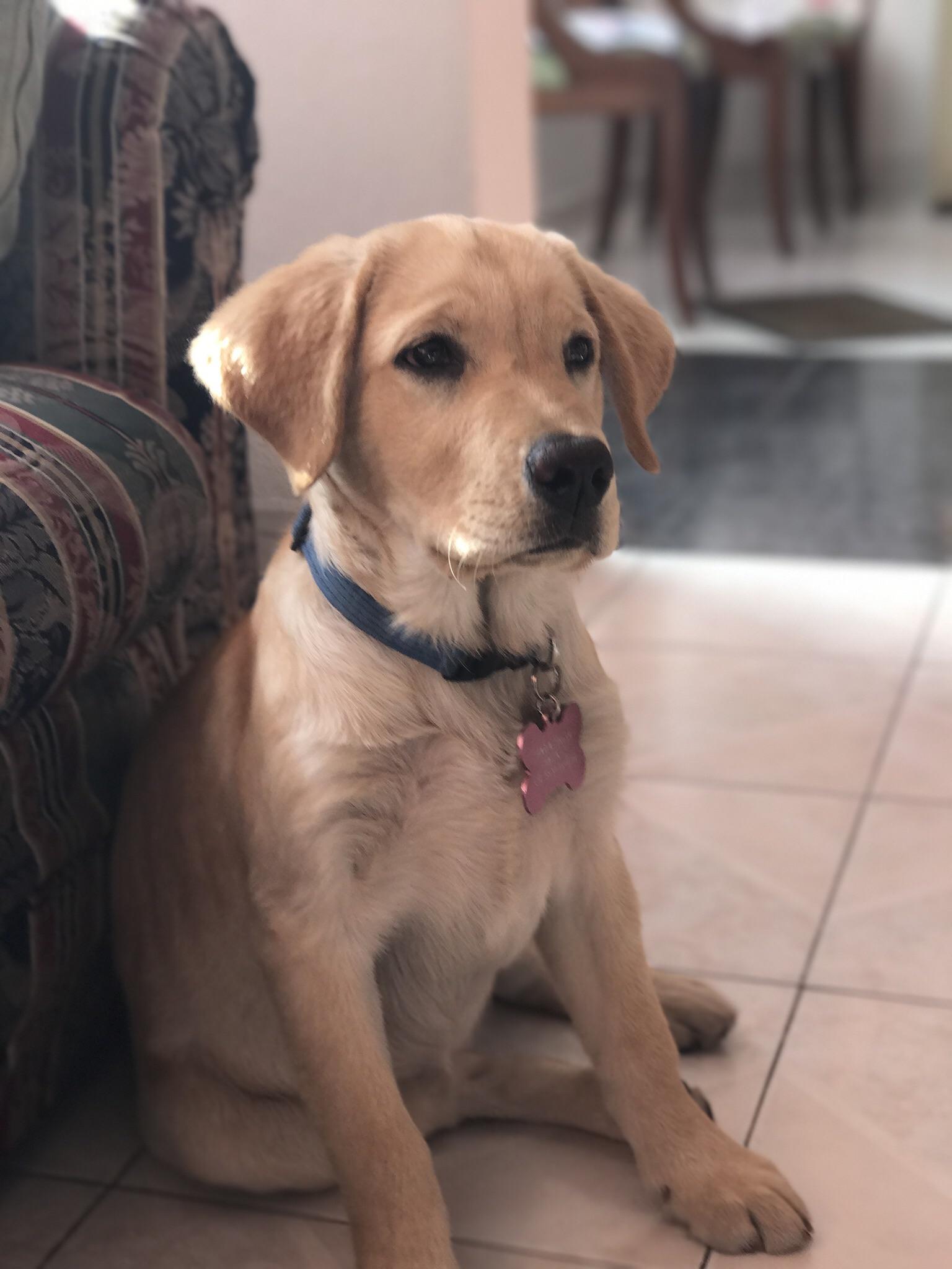 Taking a rest | Scrolller