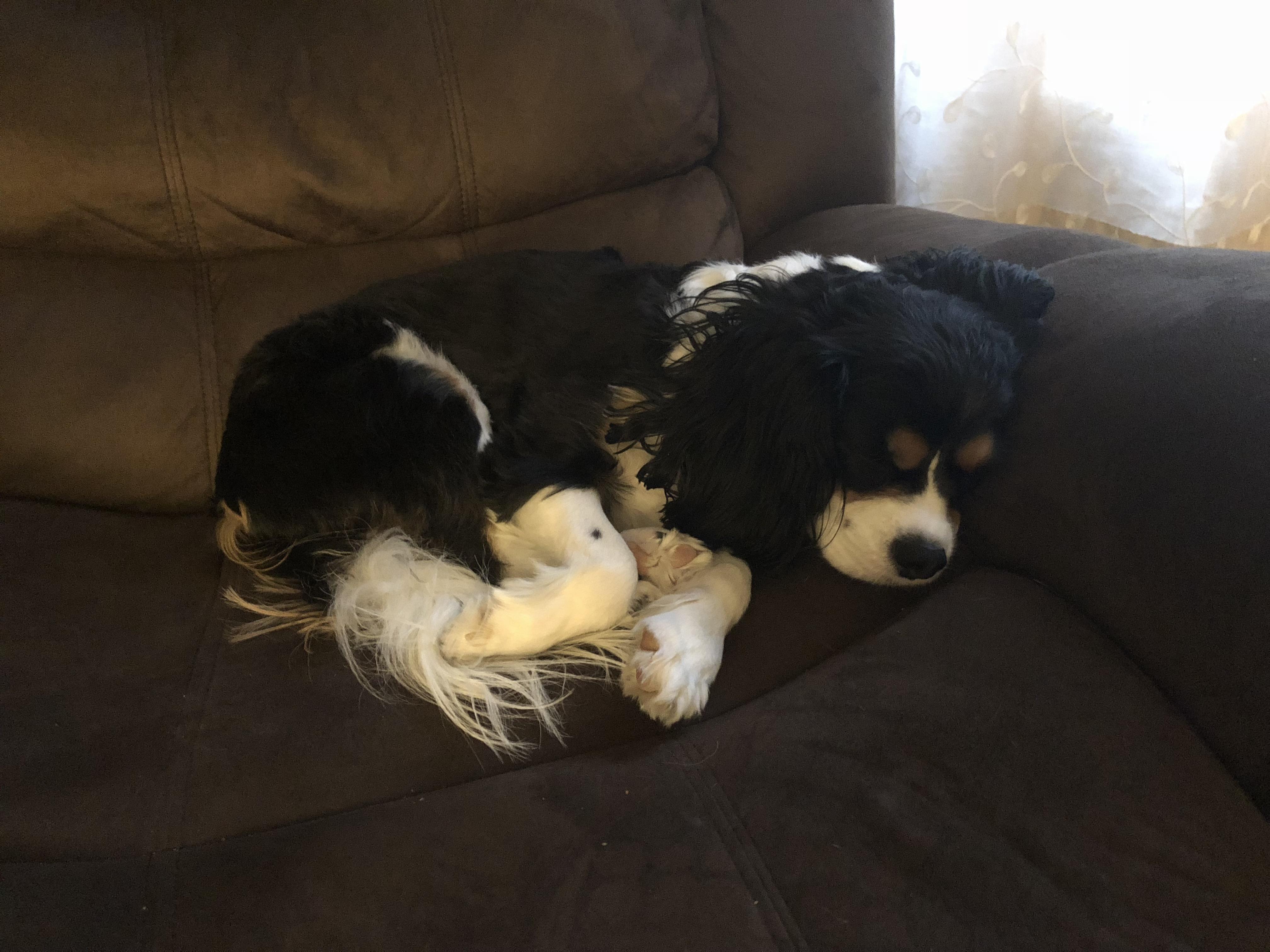 Taking a snooze | Scrolller