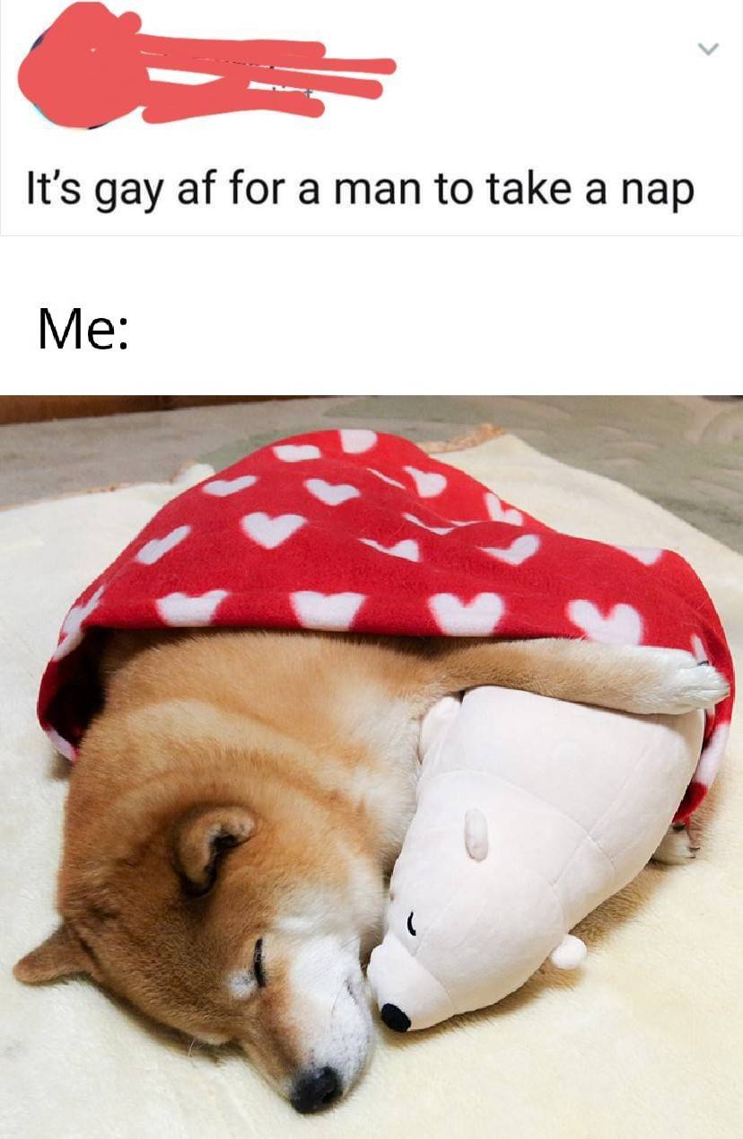 Talk about toxic masculinity | Scrolller