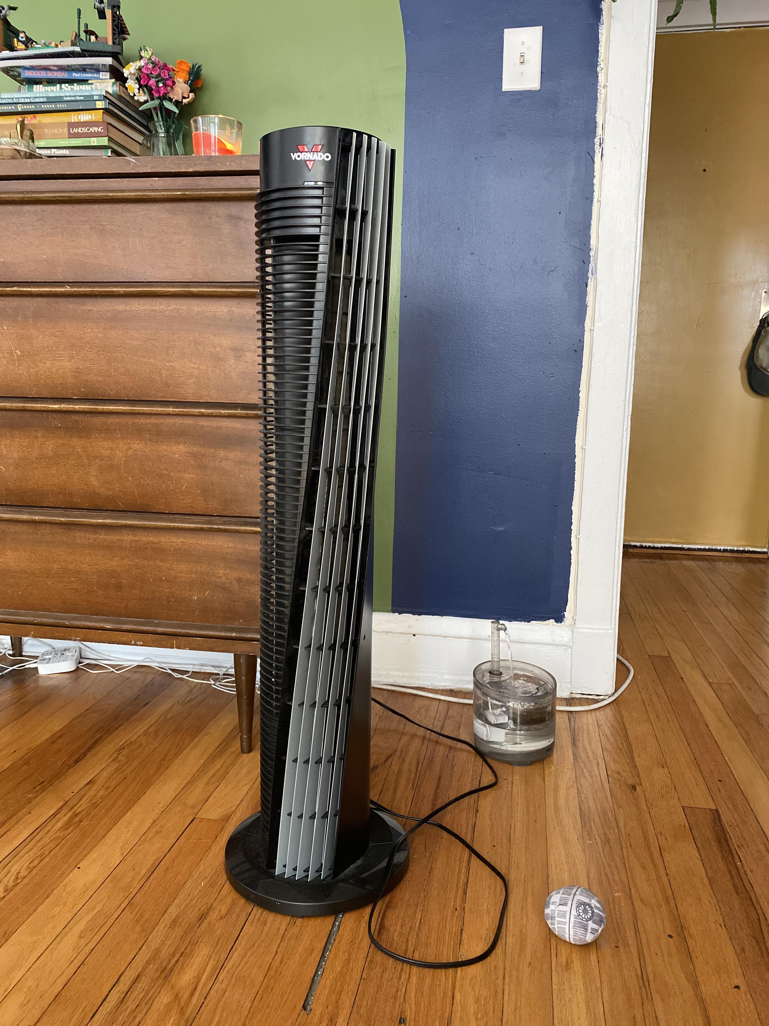 Tall and curvy | Scrolller