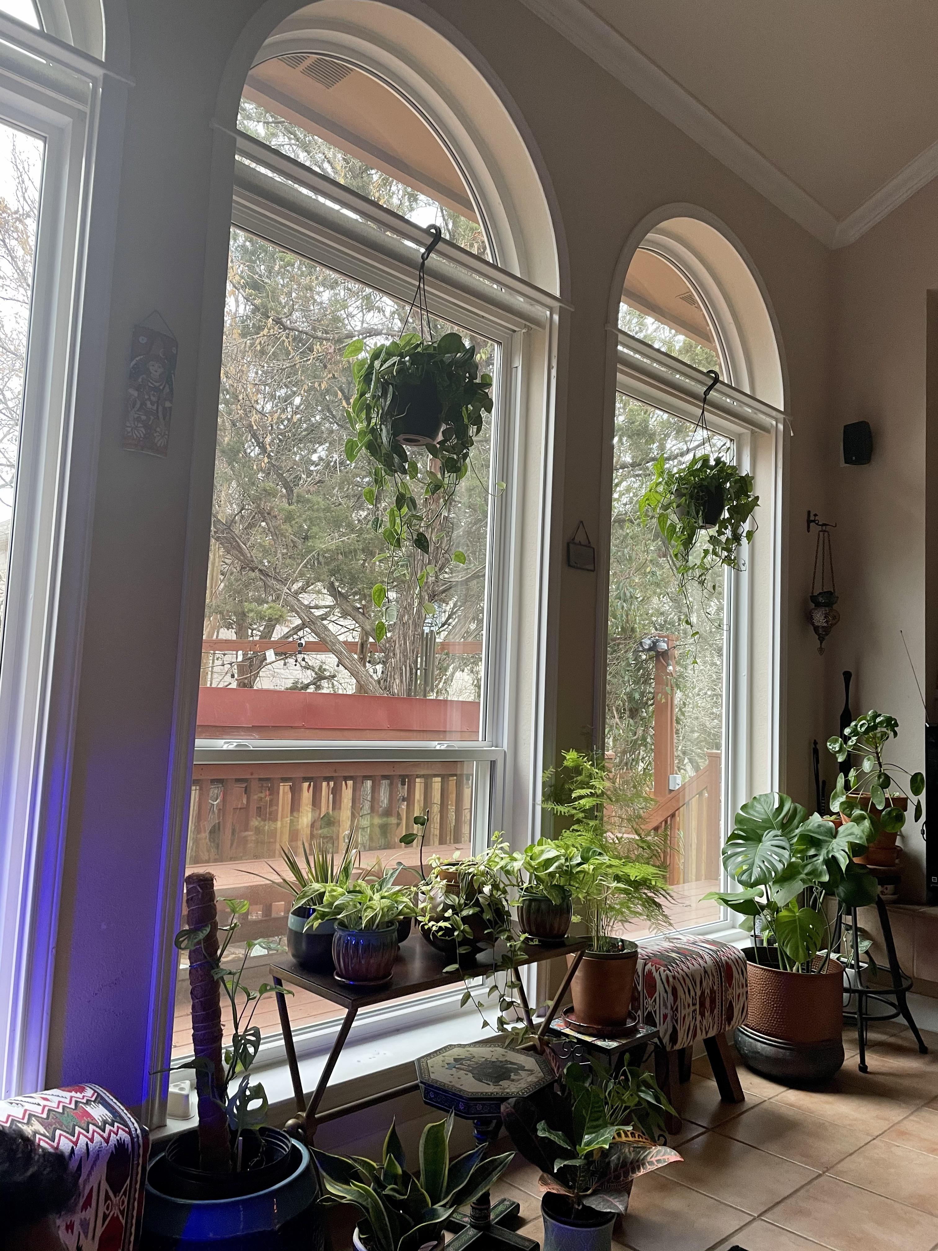 Tamed our monsters today | Scrolller