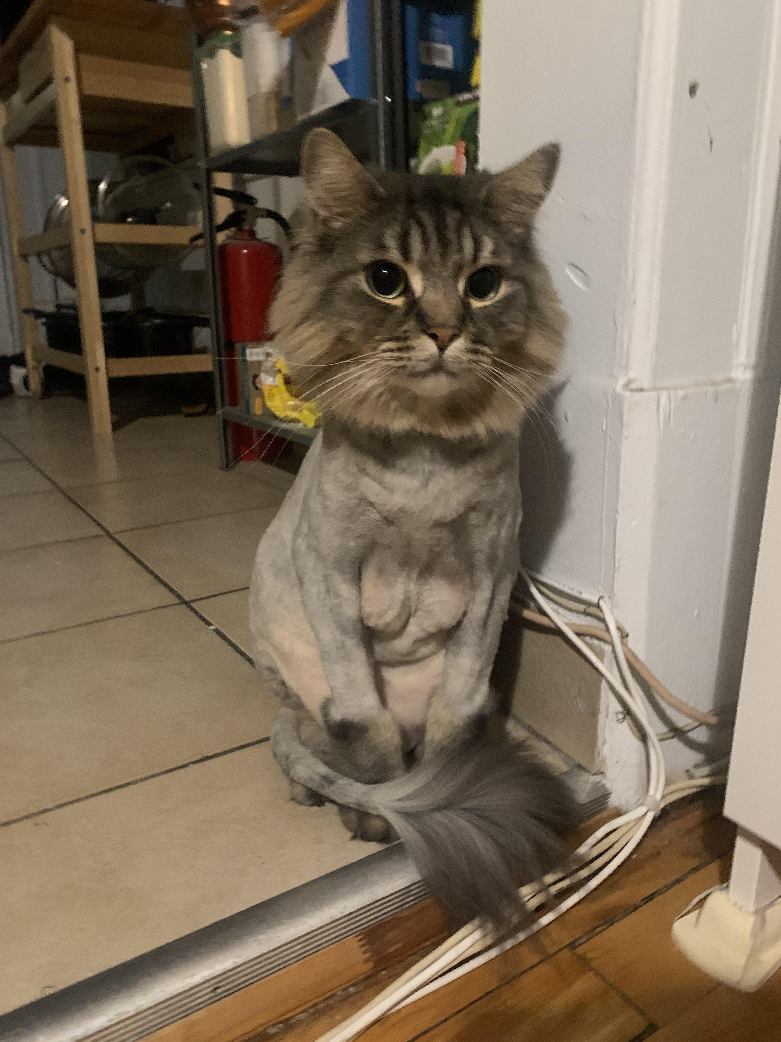 Taquito And His Tig Old Bitties Scrolller