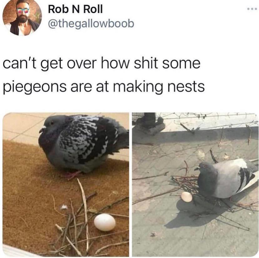 task failed successfully? | Scrolller