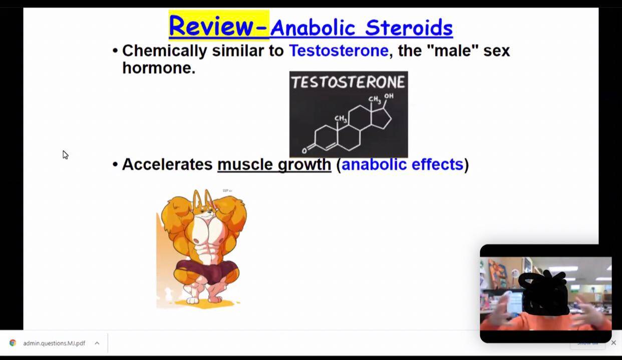 Teacher accidentally uses furry fetish art in presentation on drugs | Scrolller