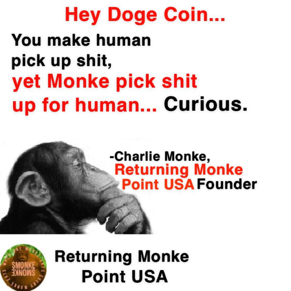 team monke > team doge | Scrolller