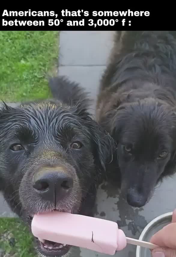 Technically correct! | Scrolller