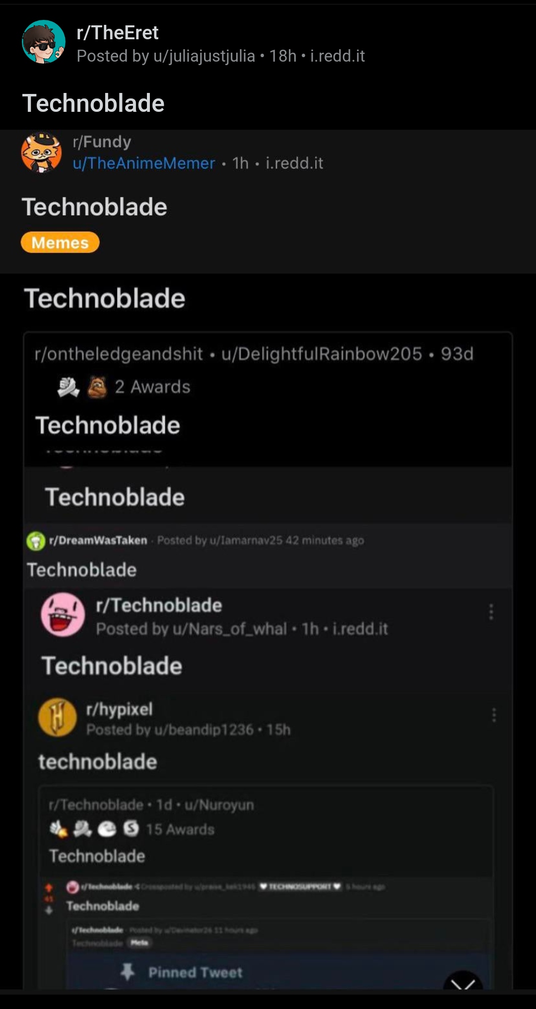 Technoblade | Scrolller