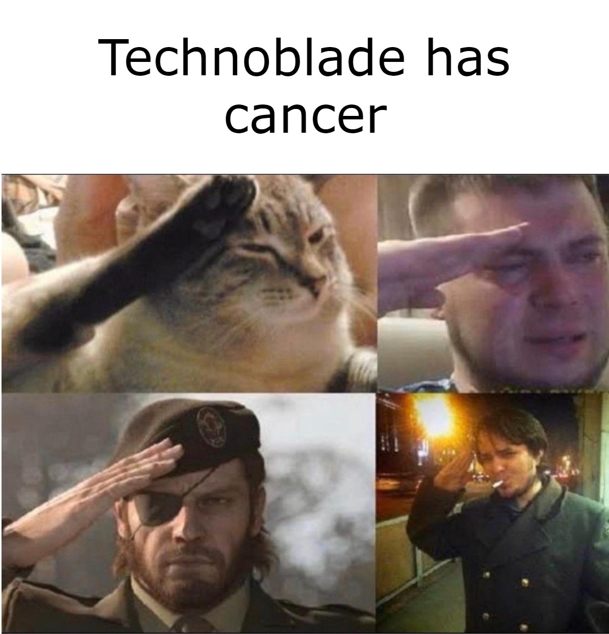 technoblade never dies | Scrolller