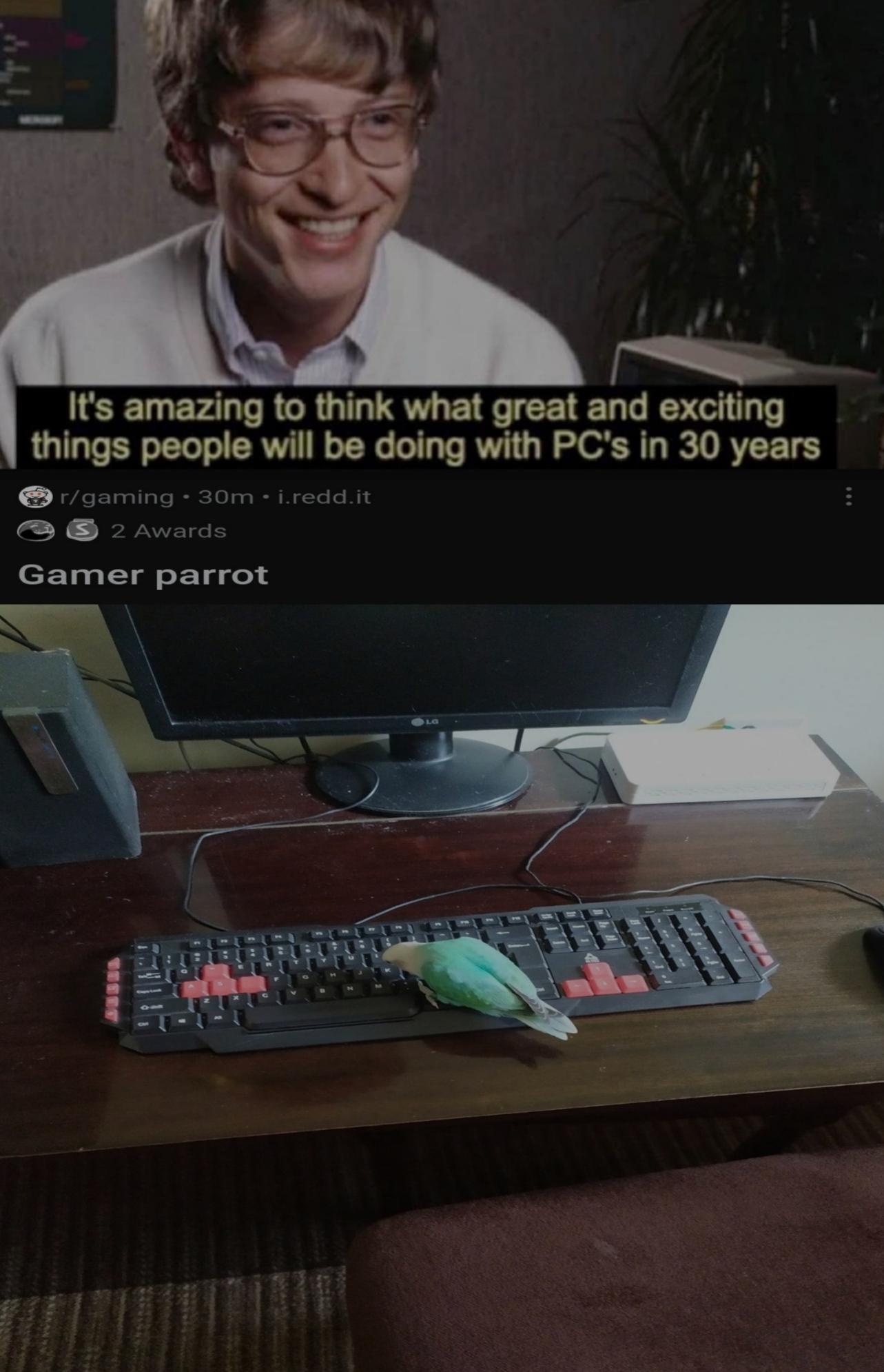 Technology | Scrolller