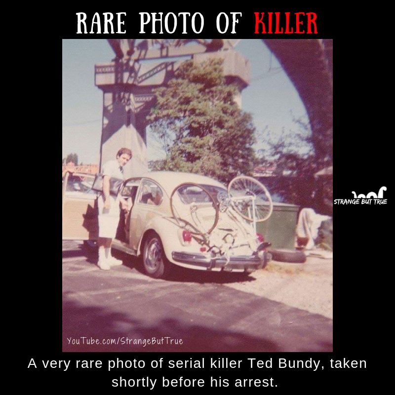 Ted Bundy's infamous Volkswagen Beetle - r/SBTcommunity | Scrolller