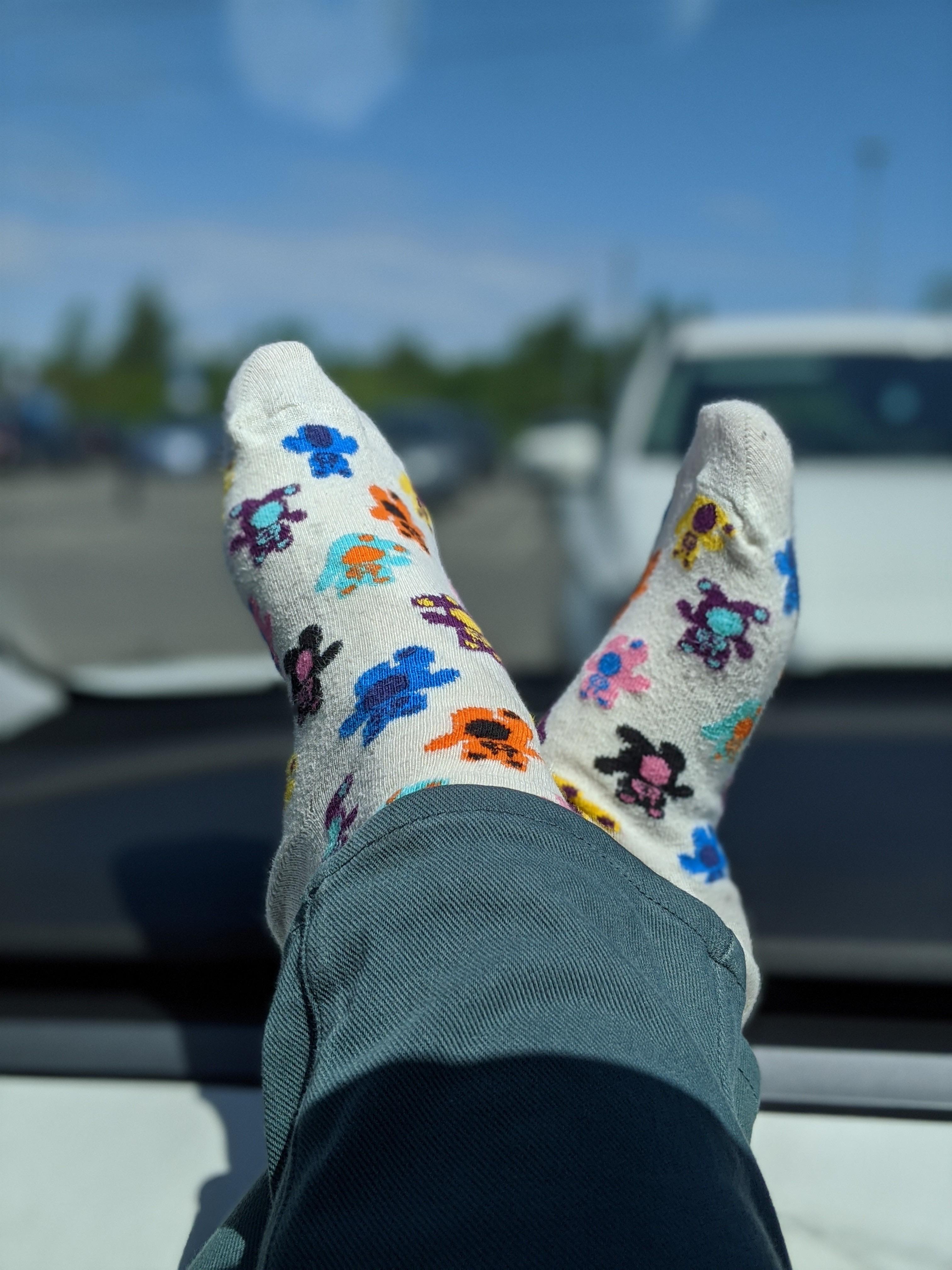 Teddies on the dash 😊 | Scrolller