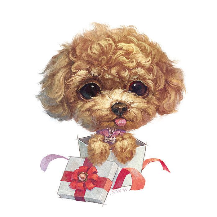 Teddy Scrolller