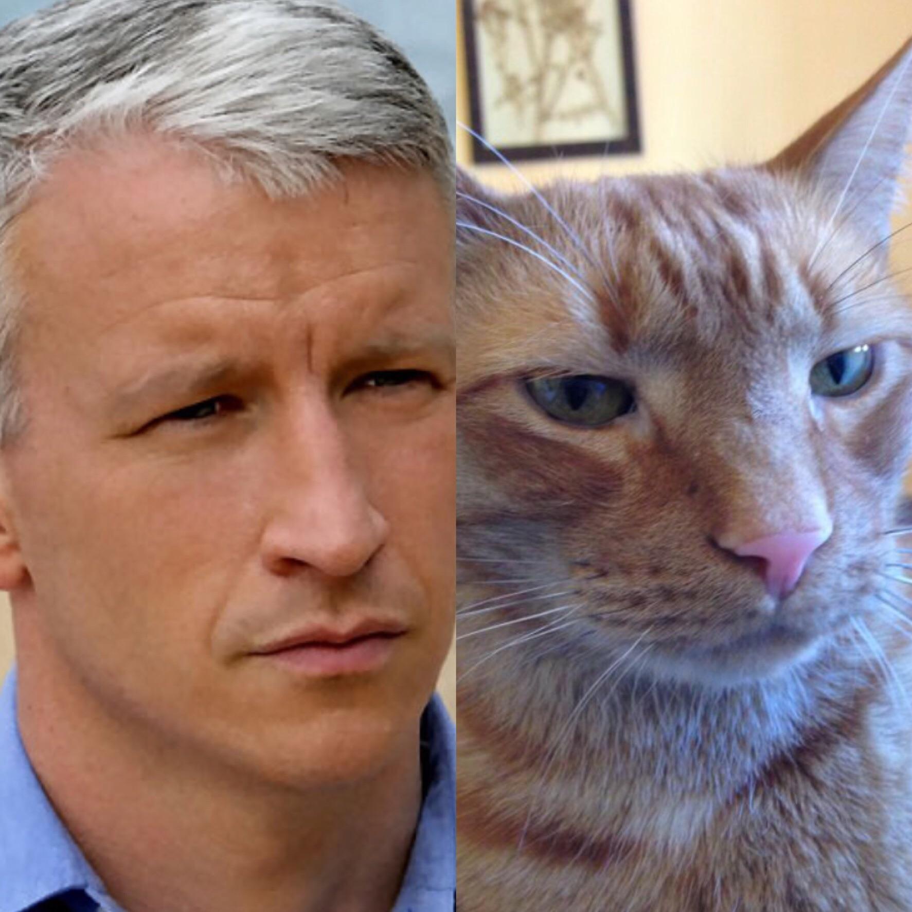 Tell me you don't see it. | Scrolller Tell me you don't see it. | Scrolller